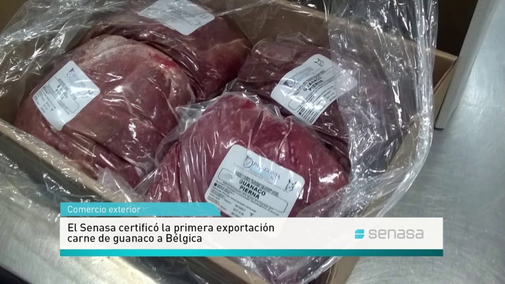 Carne de guanaco de exportación - Agrolink