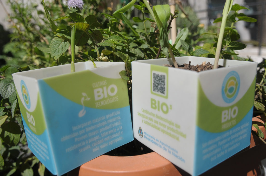 Agroindustria lanza un Plan de Acción para los Biomateriales y ...