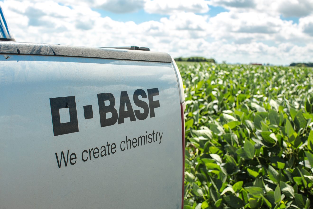 BASF espera lanzar 20 nuevos productos en los próximos tres años | AgroLink