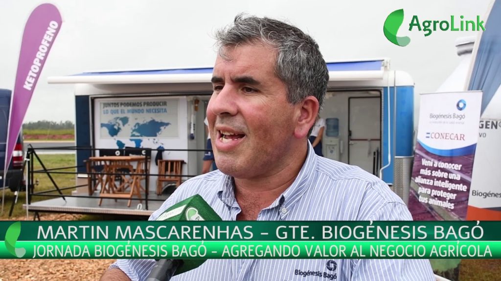 Biogénesis Bagó: “La sanidad tiene un gasto marginal en la producción ...
