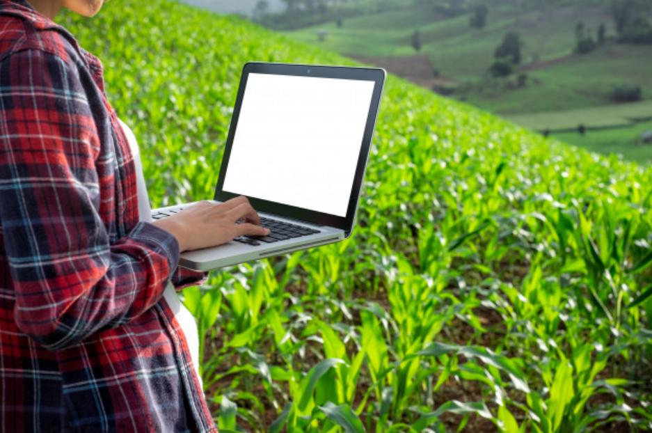 Herramientas para gestionar eficientemente la empresa agropecuaria ...