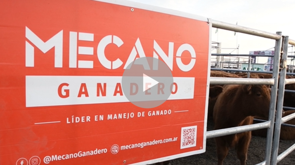 Agrolink en AgroActiva 2022| Mecano Ganadero: versatilidad en el manejo ...