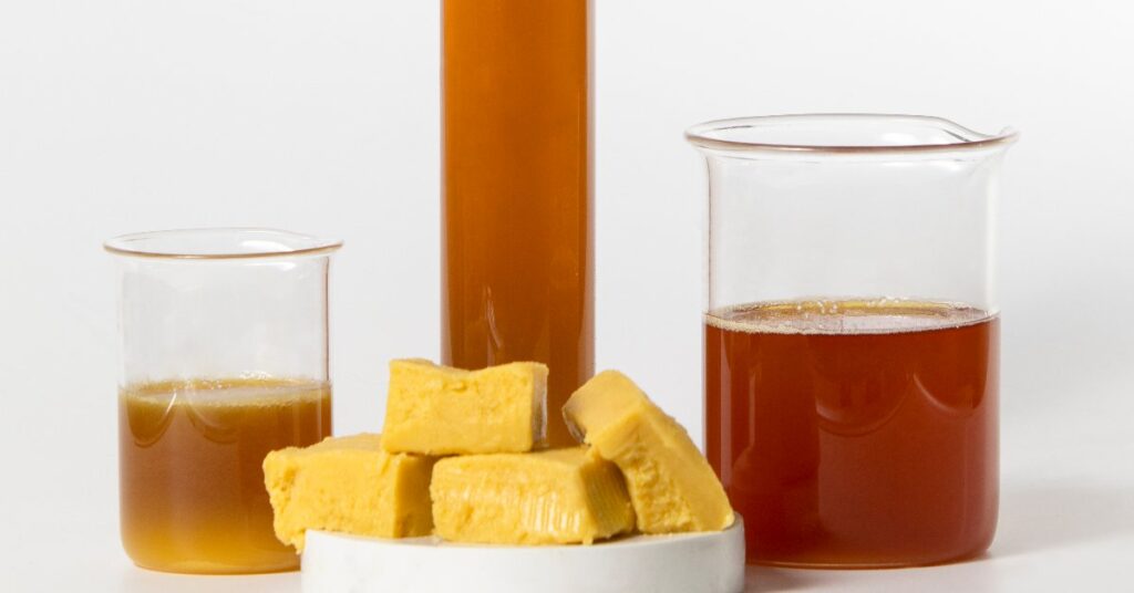 Exportan sebo bovino para la producción de biocombustible - Agrolink