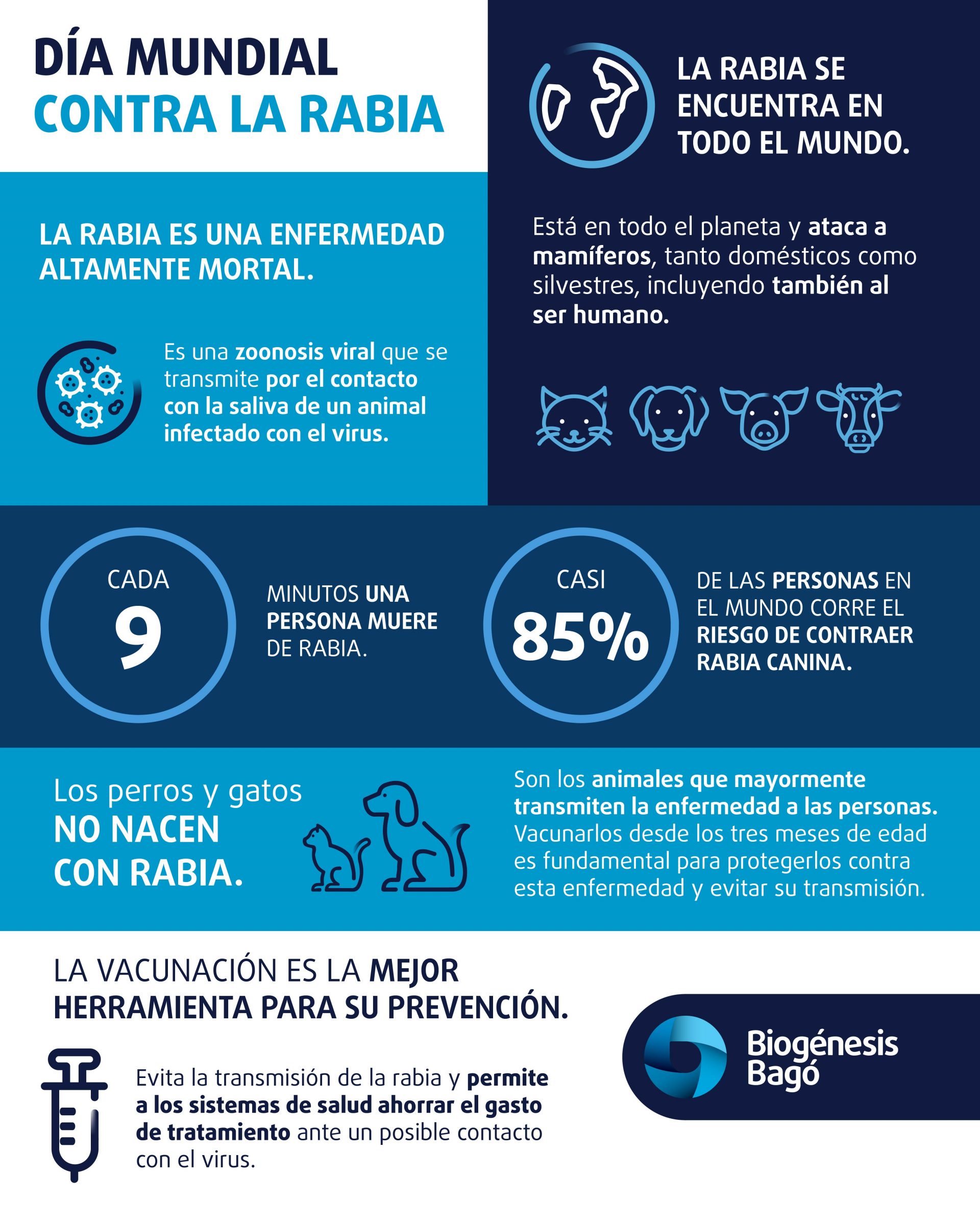 Día Mundial de la lucha contra la rabia: claves para su prevención ...